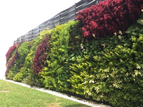 Muro Verde Garden Plants Sidewalk