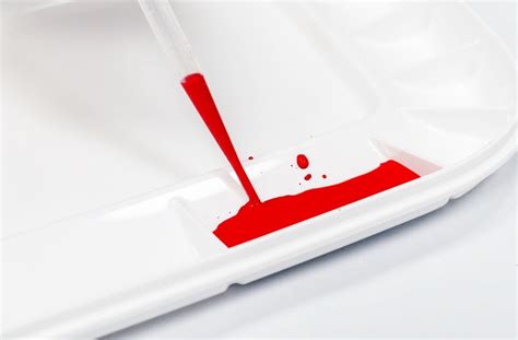 차이야 놀자 빨대 물감불기 스티커 붙이기 놀이하기 좋은 꾸미기 활동지 1세트 5장 차이의 놀이