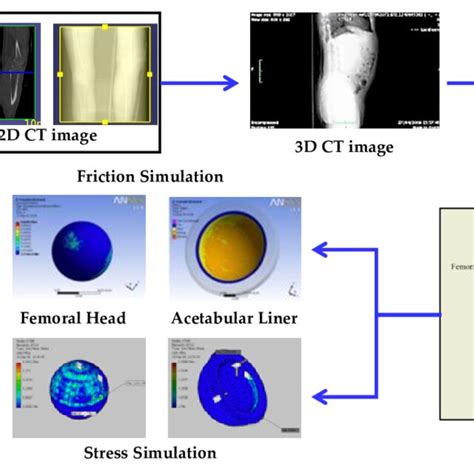 Steps Of The Simulation Based Experimental Method Download Scientific
