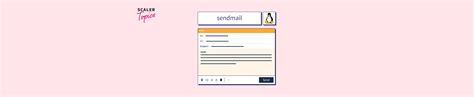 What Is The Sendmail Command In Linux Scaler Topics