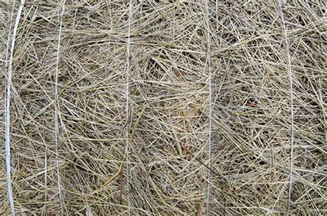 Premium Photo The Texture Of A Round Natural Dried Dry Haystack Of