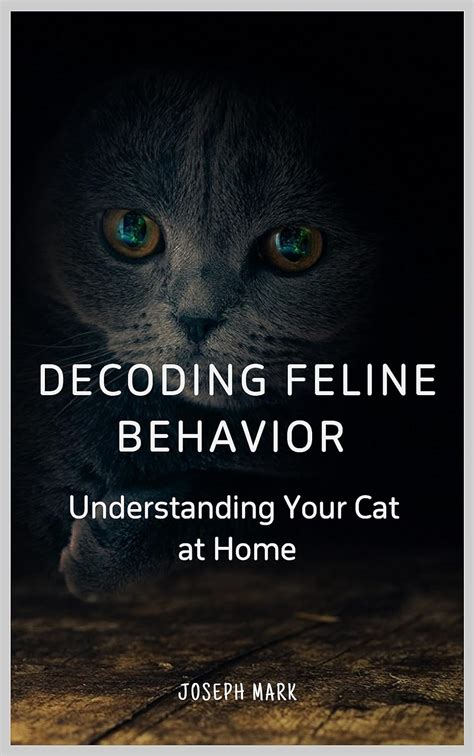 Decoding Feline Behavior Understanding Your Cat At Home Kindle Edition By Mark Joseph