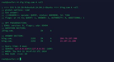 How To Use The Linux Dig Command With Examples
