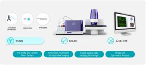 Phenocycler Fusion System Tumor Engineering And Phenotyping Shared
