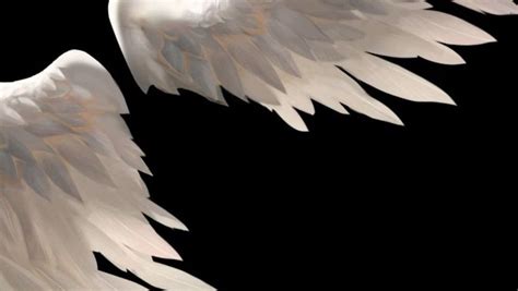 Linnlin Exardxy Profile Pinterest