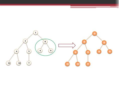 Heapify Algorithm Ppt