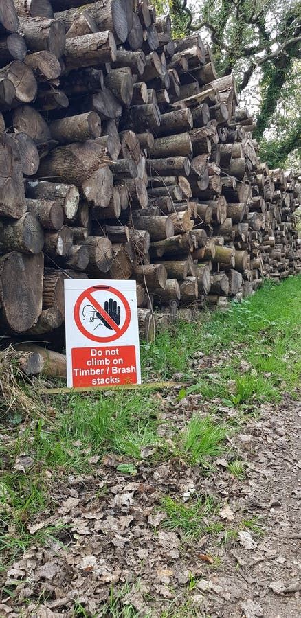 Timber Log Stack Stock Image Image Of Logging Woodpile 24284543