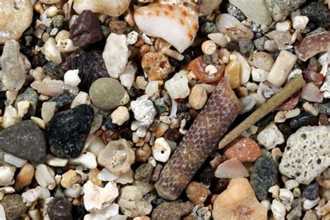 Ferry Landing Beach Gitmo Cuba Beach Sand Sample Crystals Minerals Mineral Specimen Minerals