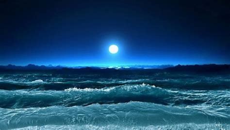 Интересные факты о которых вы могли не знать 60 фото •