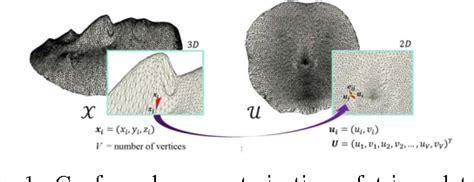 Figure 1 From Conformal Parameterization And Curvature Analysis For 3d Facial Recognition