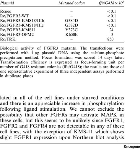 Transformation Activity Of Fgfr3 Mutants In Nih3t3 Cells Download Table
