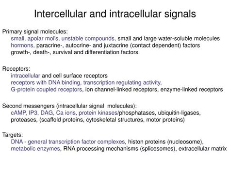 Ppt Intercellular And Intracellular Signals Powerpoint Presentation