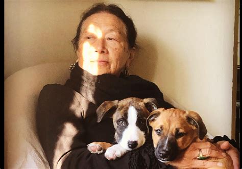 Natane Adcock Age And Wikipedia Bio How Old Is She Age Husband And Net Worth Explored
