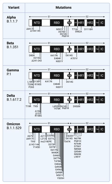 The Elusive Coreceptors For The Sars Cov 2 Spike Protein