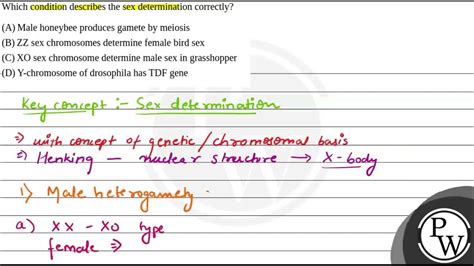 Which Condition Describes The Sex Determination Correctly Youtube