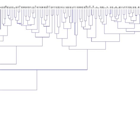 Cluster Dendrogram Based On Morphometrics Parameters Of Sambucus Nigra