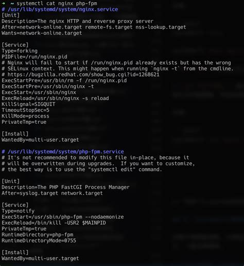 Linux Systemd Segmentfault