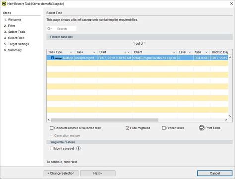NetApp NFS Restore SEPsesam