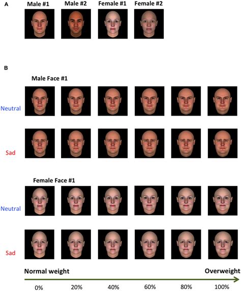 Good Looks Rating Scale At Jamison Brown Blog