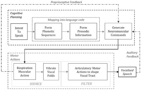 3 Schematic Diagram Of Speech Production From Cummins Et Al 2015