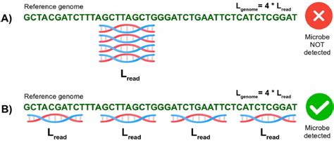 Demonstration Of The Difference Between Depth And Breadth Of Coverage