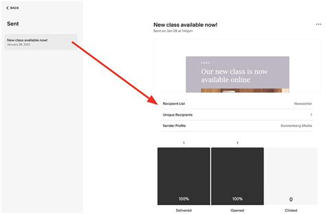 Squarespace Email Campaigns Review 2025 Crucial Tips