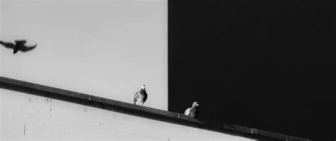 Creating A Toggleable Dark Mode Theme Dev Community