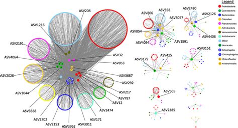 Networks Based On A Spearman Correlation Analysis Performed Using Download Scientific Diagram