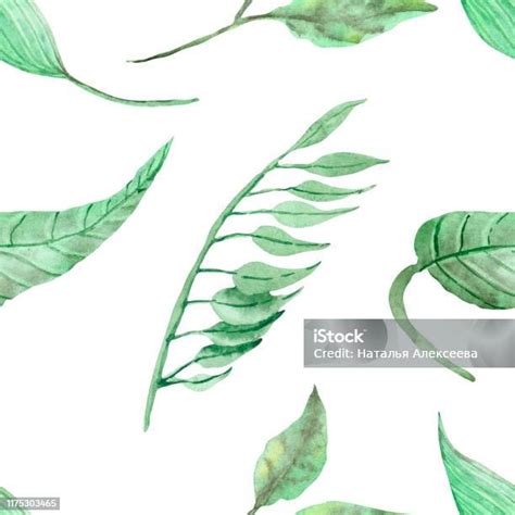 수채화 손 은 녹색 열대 잎과 섬유 및 배경 화면의 흰색 배경에 고립 된 유칼립투스 가지와 자연 정글 원활한 패턴을 그린 0명에