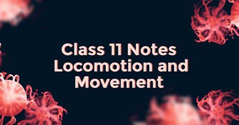 Locomotion And Movement Class 11 Notes Vidyakul
