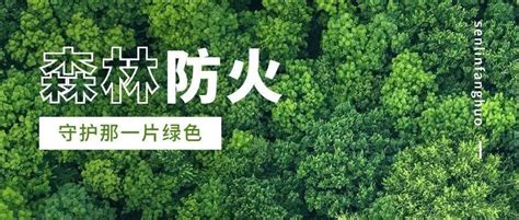 高温天气高度警惕森林火灾 防范 火警 生态