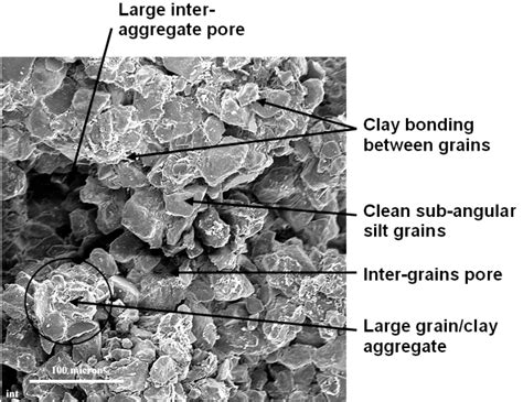 Sem Microstructure Observation On Intact Bapaume Loess Samples At Download Scientific Diagram