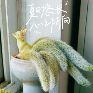 长毛九尾狐多肉植物狐狸盆栽尾巴办公室摆件猴尾柱阳台室外庭院 阿里巴巴