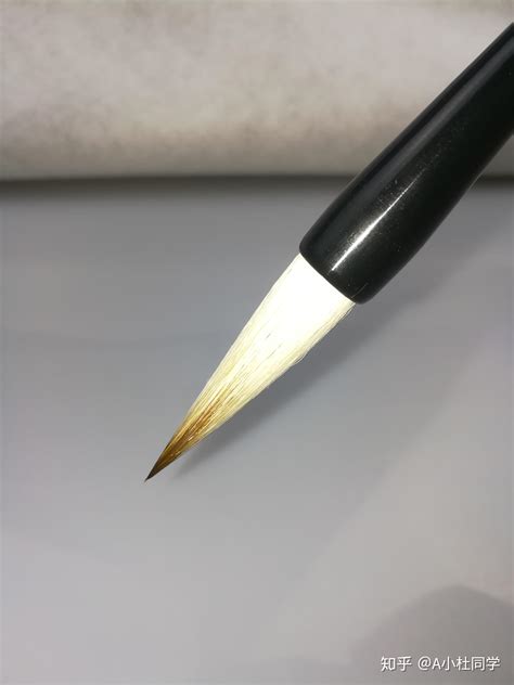 新手学习毛笔如何选择毛笔 知乎