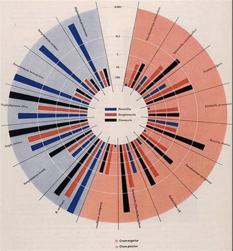 Radial Histogram Data Viz Project