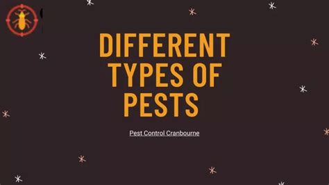 PPT Pest Control Cranbourne Different Types Of Pests PowerPoint Presentation ID 10221843