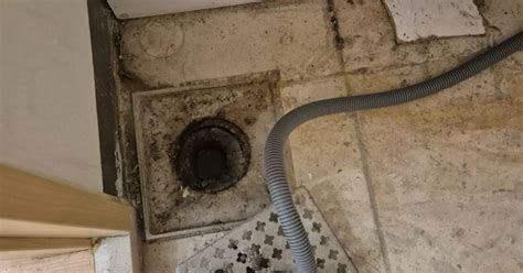 아이가 아파서 제가 현장에 못 갔는데도 팀장님께서 전후는 물론 추가로 제가 고민을 말씀드린 부분까지 사진찍어서 공유해주시고 꼼꼼하게 작업해주셨습니다 감사합니다 숨고