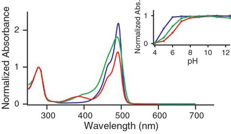 Absorption Spectra Of Ag Blue Egfp Green And Mag Red The Download Scientific Diagram