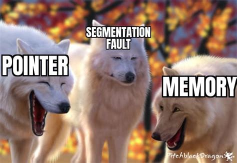 When Your Pointer Is Uninitialised Again Rprogrammerhumor