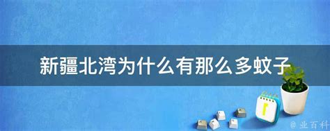 新疆北湾为什么有那么多蚊子 业百科