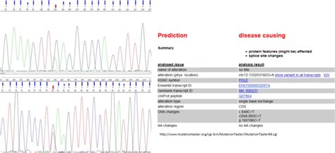 Sanger Sequencing Electropherogram Of The Exon 9 Of The Pole Gene With