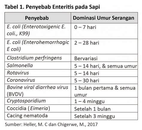 Handling Cases Of Enteritis In Cattle