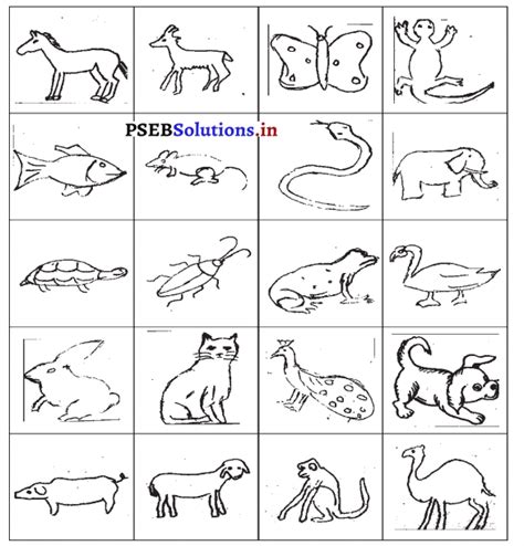 Pseb 3rd Class Evs Solutions Chapter 7 ਜੰਤ ਇਕ ਜਾਣ ਪਹਿਚਾਣ Pseb Solutions