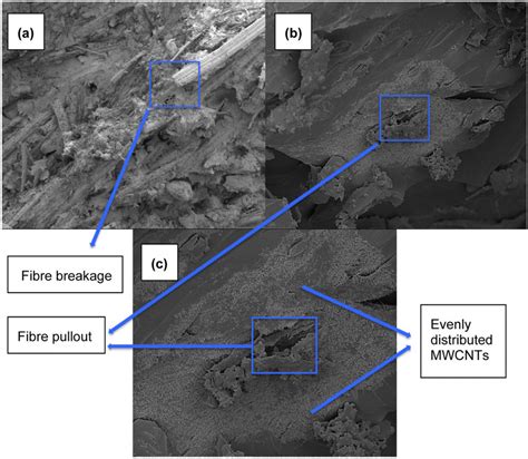 Sem Micrographs Of Fracture Surfaces Of Nanocomposite With A 100x