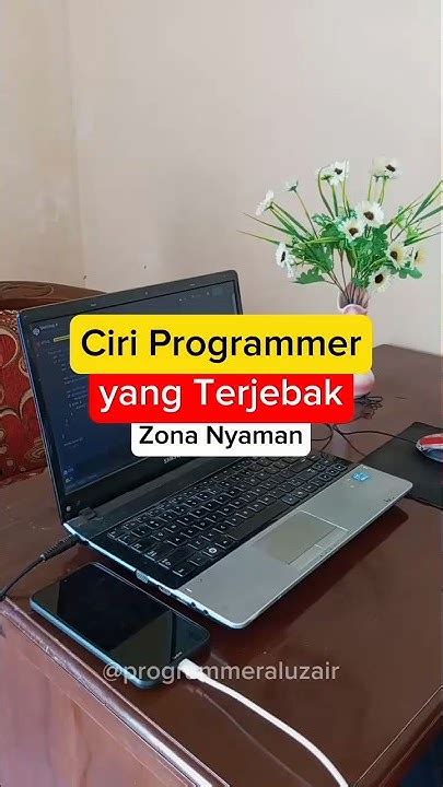 Programmer Pemula Gak Boleh Masuk Ke Zona Nyaman Shorts Coding