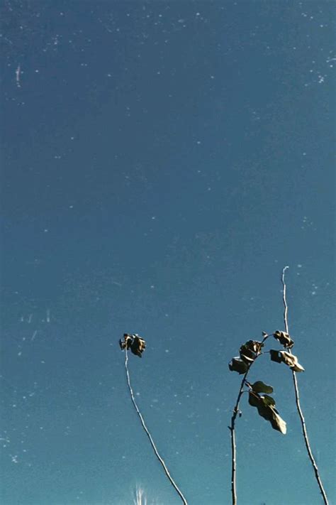 오늘의 만보하루라는 선물🎁 오늘이 ‘하루라는 이름으로 조용히 다가왔습니다 하루라는 이름의 선물은 화려한 리본이 묶여 있지 않아도 그 안에 소중함이라는 따뜻한