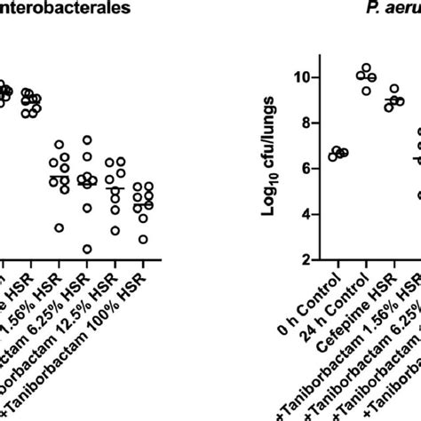 Taniborbactam Fauc 0 24 Mic Required To Achieve Efficacy Endpoints Download Scientific Diagram