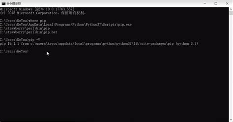 查看python路径或查看pip安装路径的时候出现c strawberry perl bin pip 守护往昔 博客园