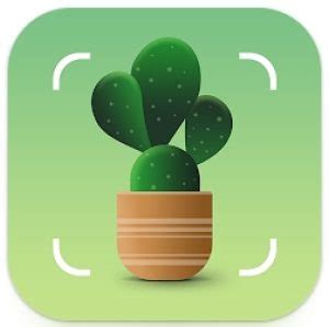 Free Tree Identification Apps For Android IOS Freeappsforme Free Apps For Android And IOS