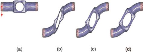 The Iterative Process Progressively Reduces Distortion In Both Local